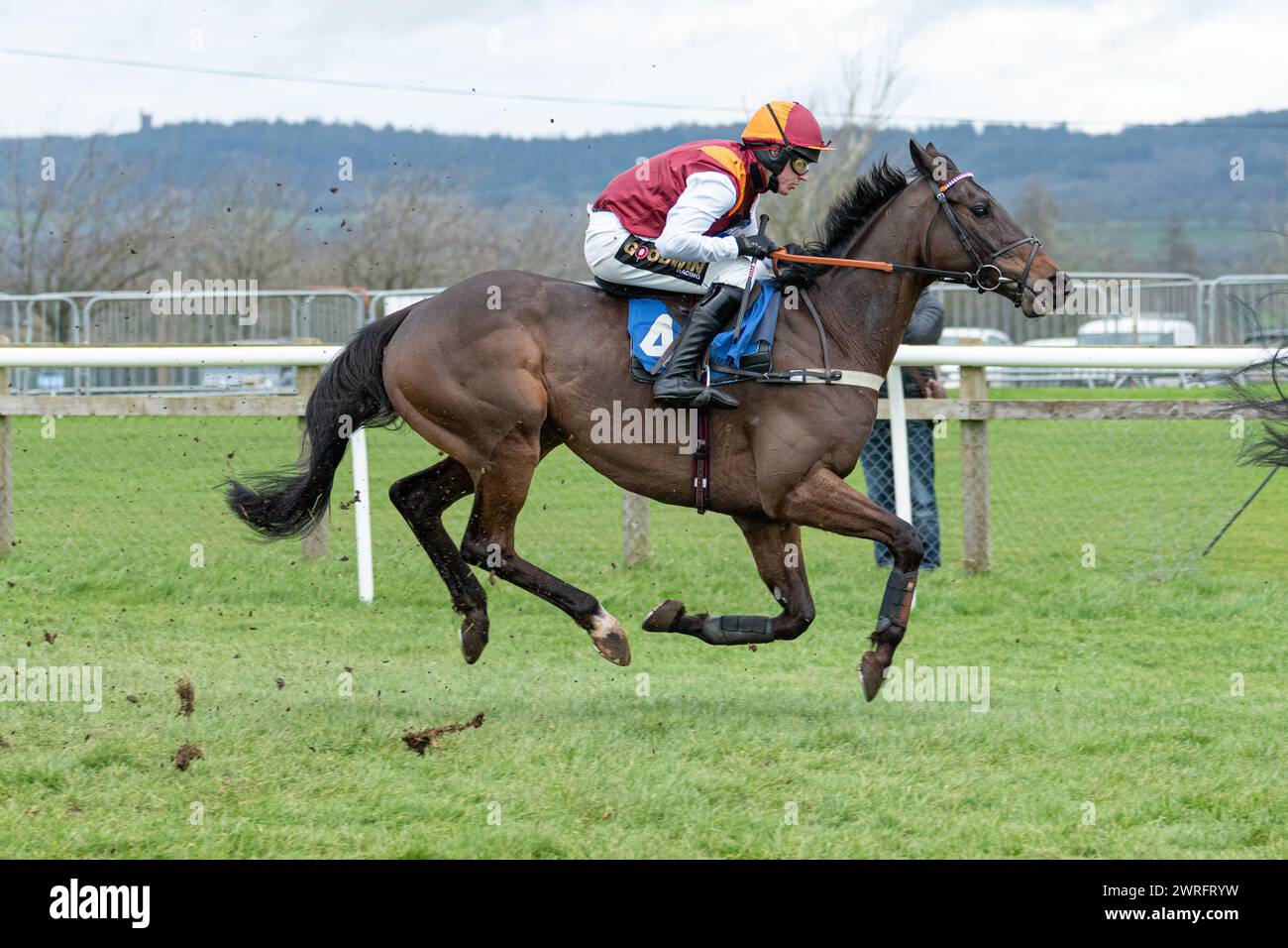 Race 6 at Wincanton, February 3rd 2022 Stock Photo - Alamy