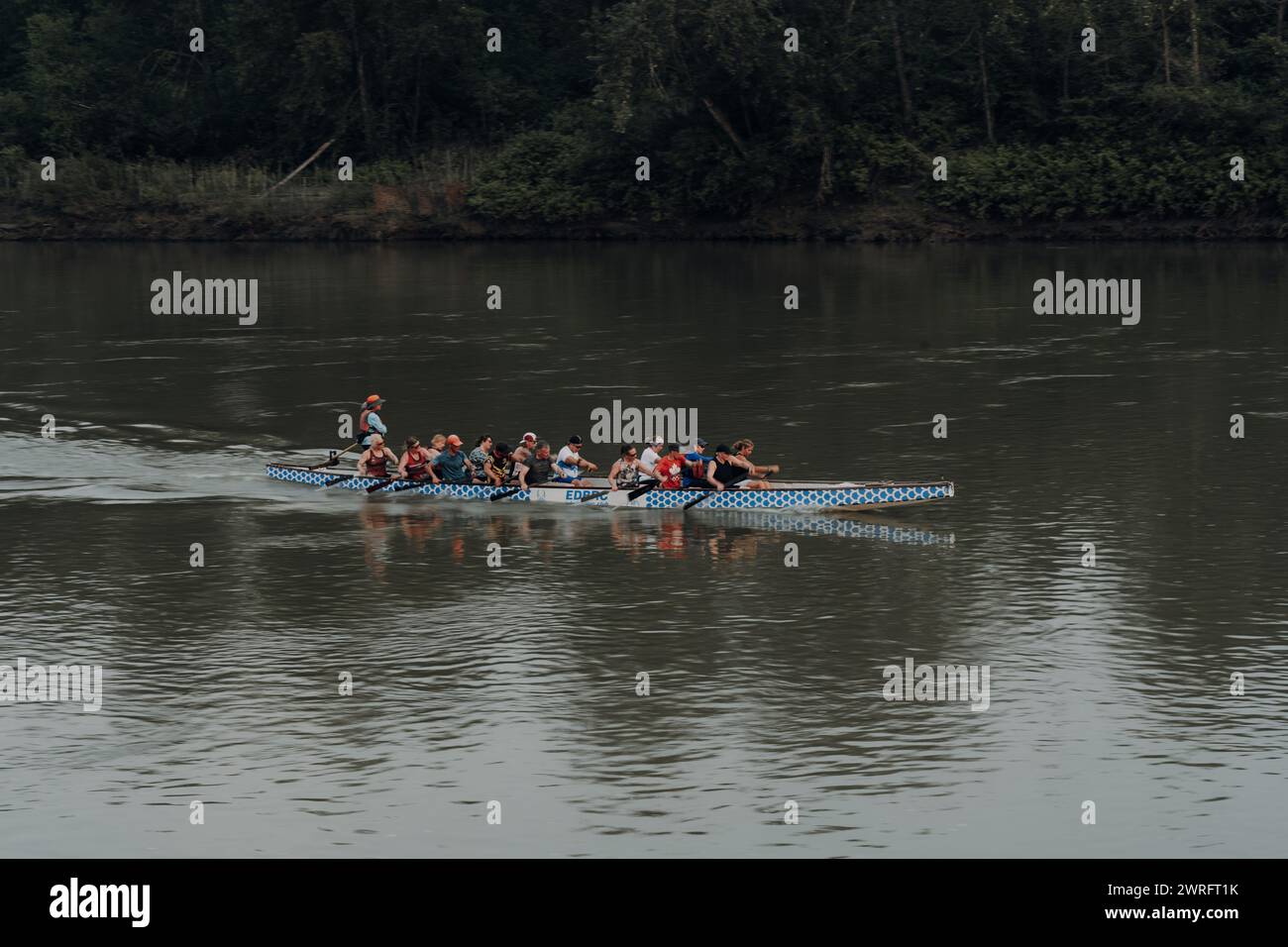 dragon boat team rowing on the river Stock Photo - Alamy