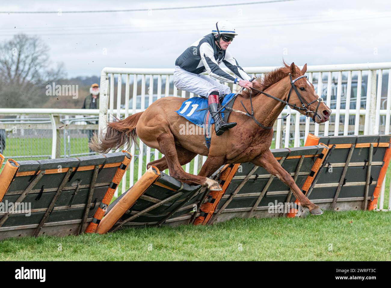 Race 6 at Wincanton, February 3rd 2022 Stock Photo - Alamy