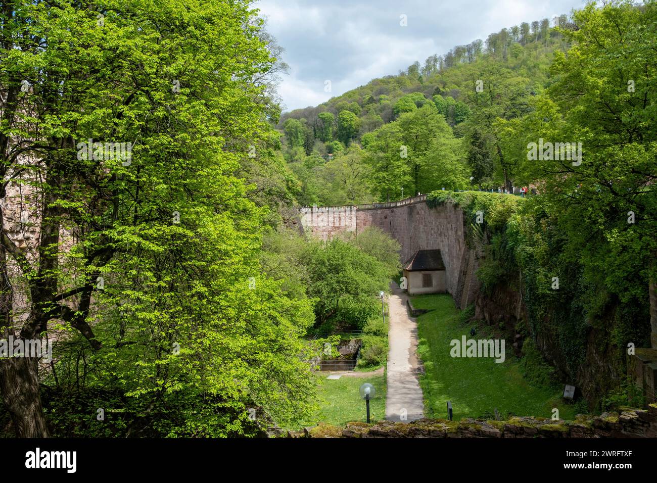 Germany, exterior brick wall of Heidelberg castle palace in nature ...