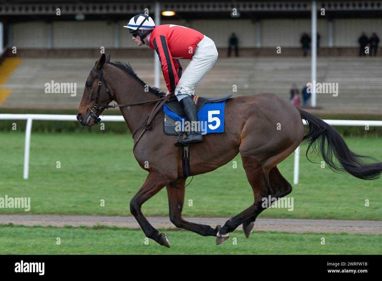 Seventh race at Wincanton, February 3rd 2022, Dick Hunt Handicap Steeple Chase Stock Photo - Alamy