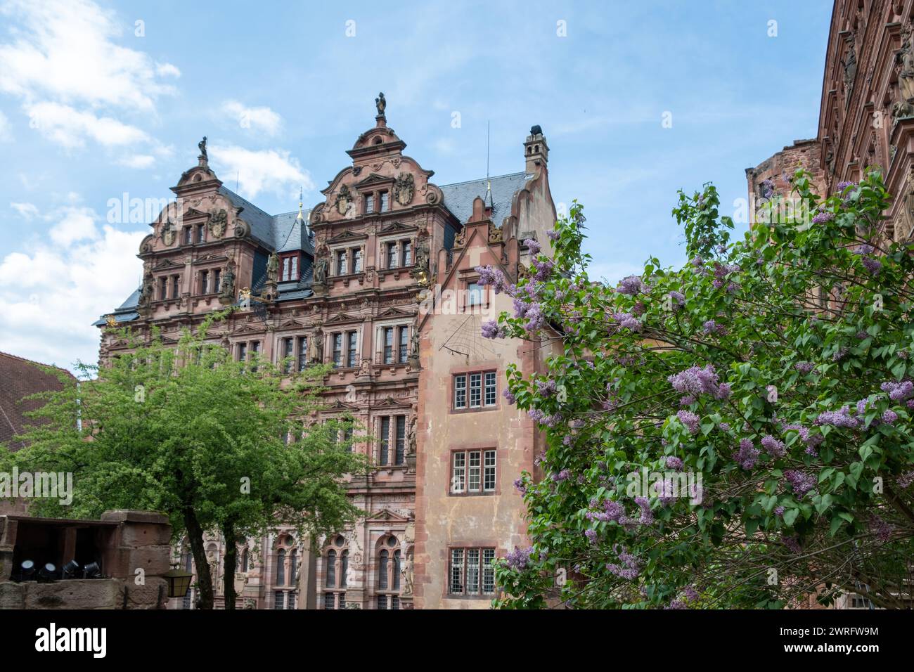 Germany, Friedrich, Friedrichsbau building, Heidelberg Schloss, Heidelberg castle, palace, Baden ...