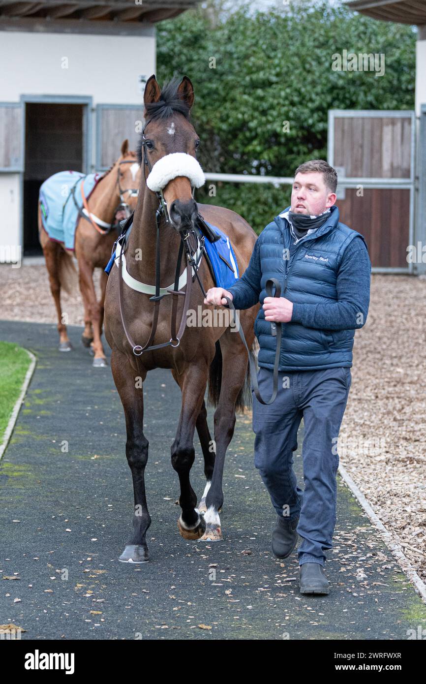 Mares' Open National Hunt Flat race at Wincanton, February 3rd 2022 ...