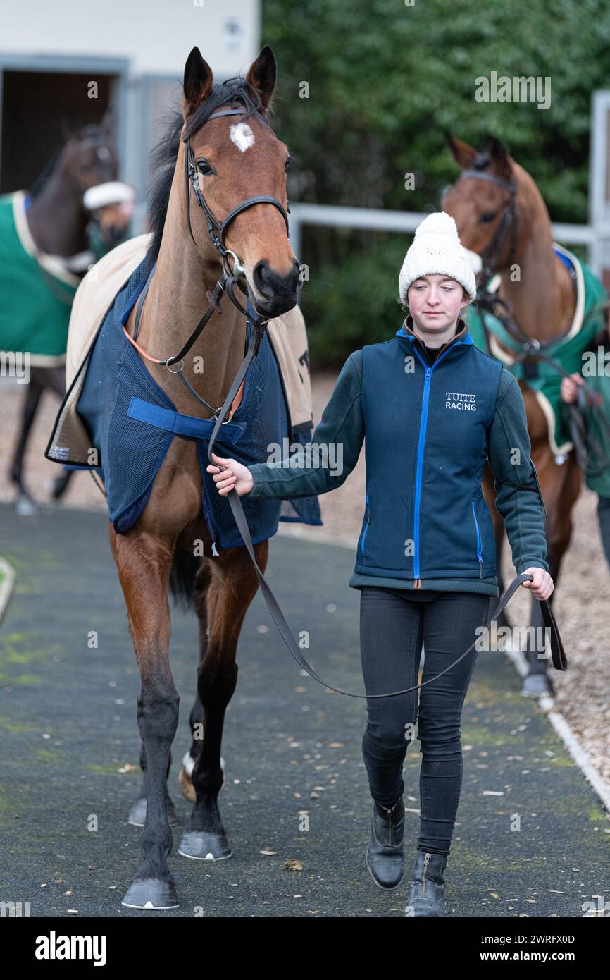 Mares' Open National Hunt Flat race at Wincanton, February 3rd 2022 ...