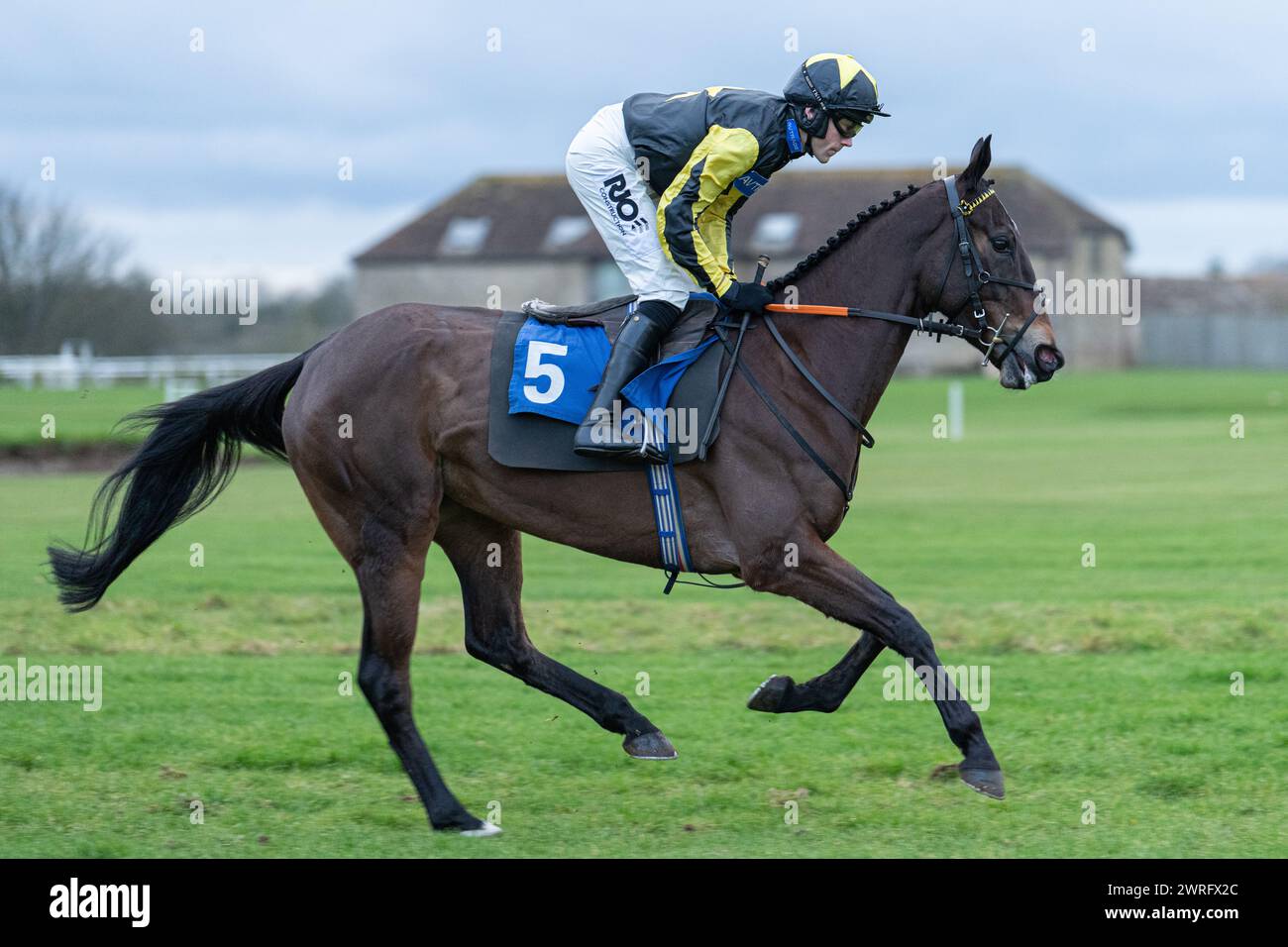 Mares' Open National Hunt Flat race at Wincanton, February 3rd 2022 ...