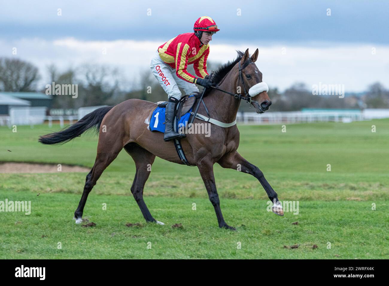 Mares' Open National Hunt Flat race at Wincanton, February 3rd 2022 ...