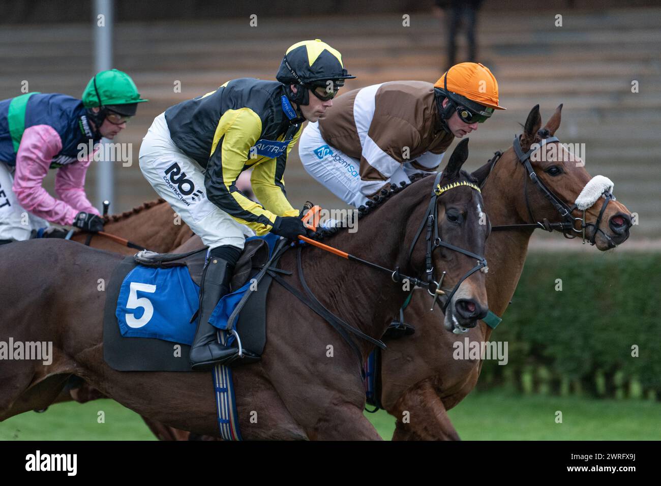 Mares' Open National Hunt Flat race at Wincanton, February 3rd 2022 ...