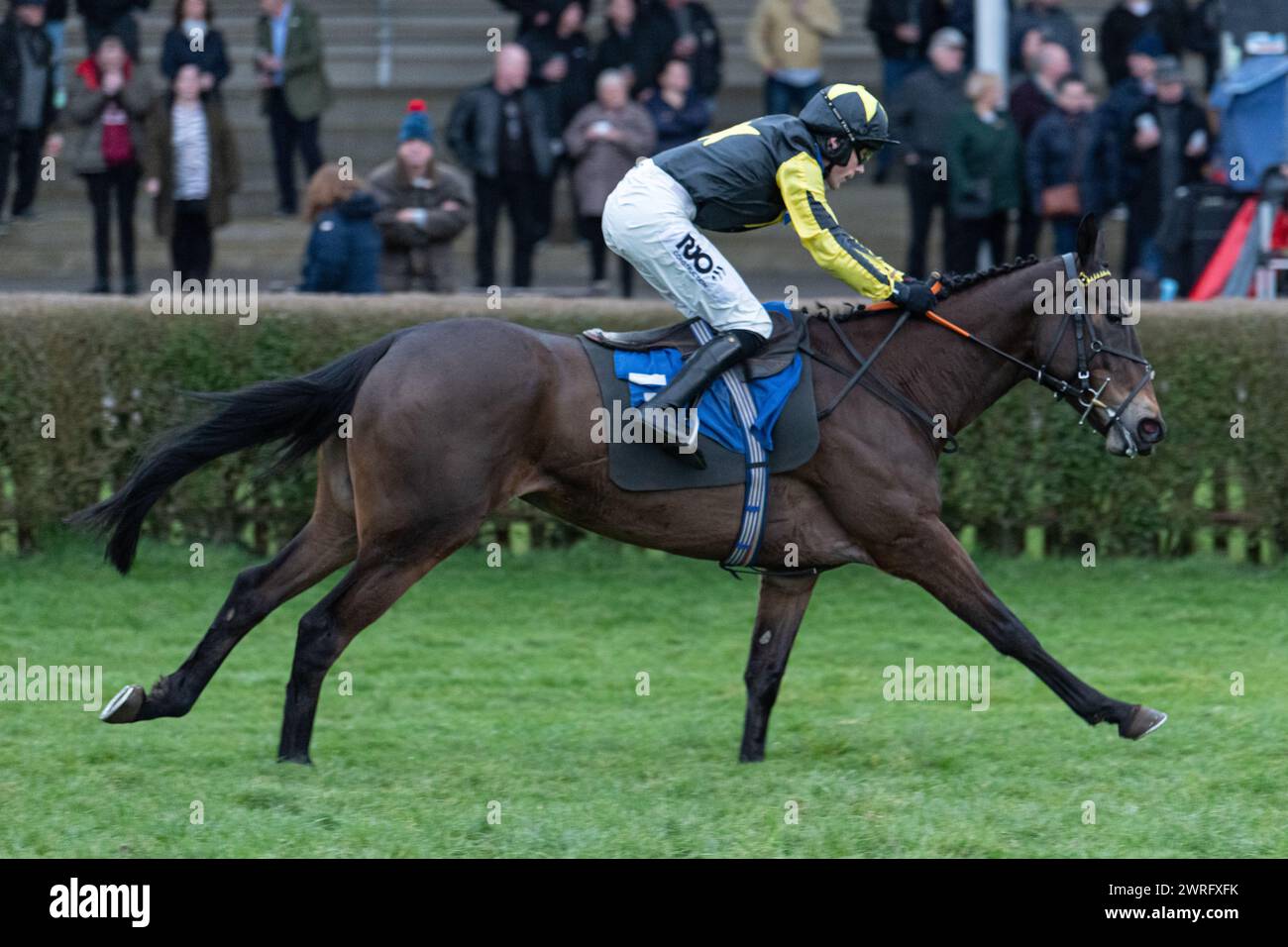 Mares' Open National Hunt Flat race at Wincanton, February 3rd 2022 ...