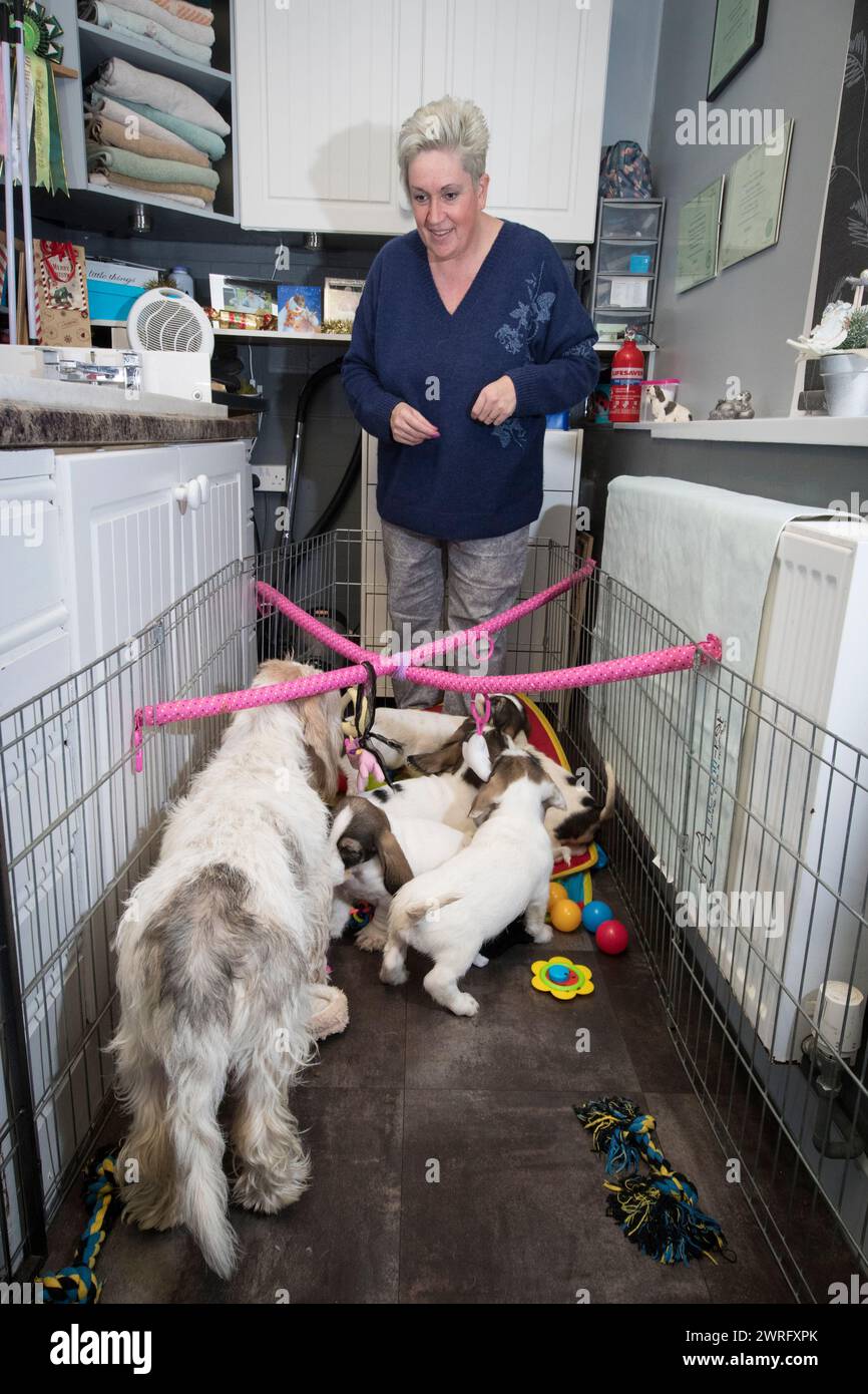 Zamba hi-res stock photography and images - Alamy