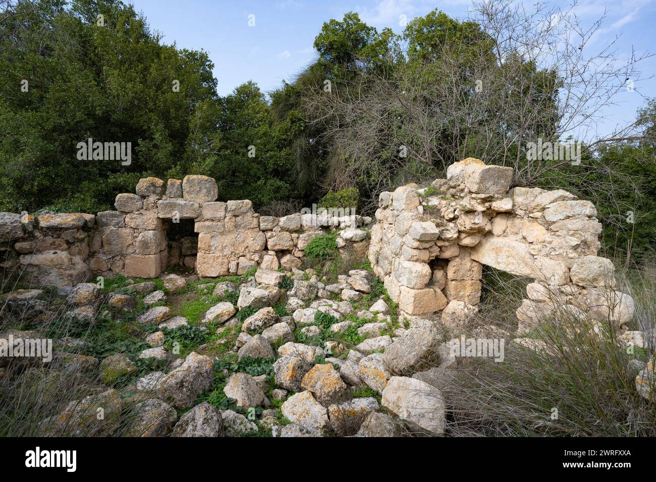 Ancient ruins of a stone structure, scattered in a mediterranean forest ...