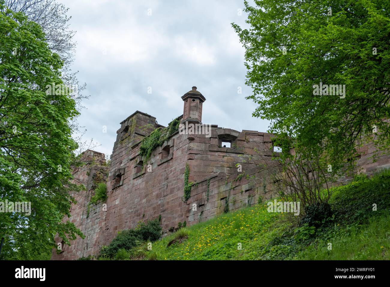 Germany, Schloss Heidelberg palace, castle in nature. Under view of ...