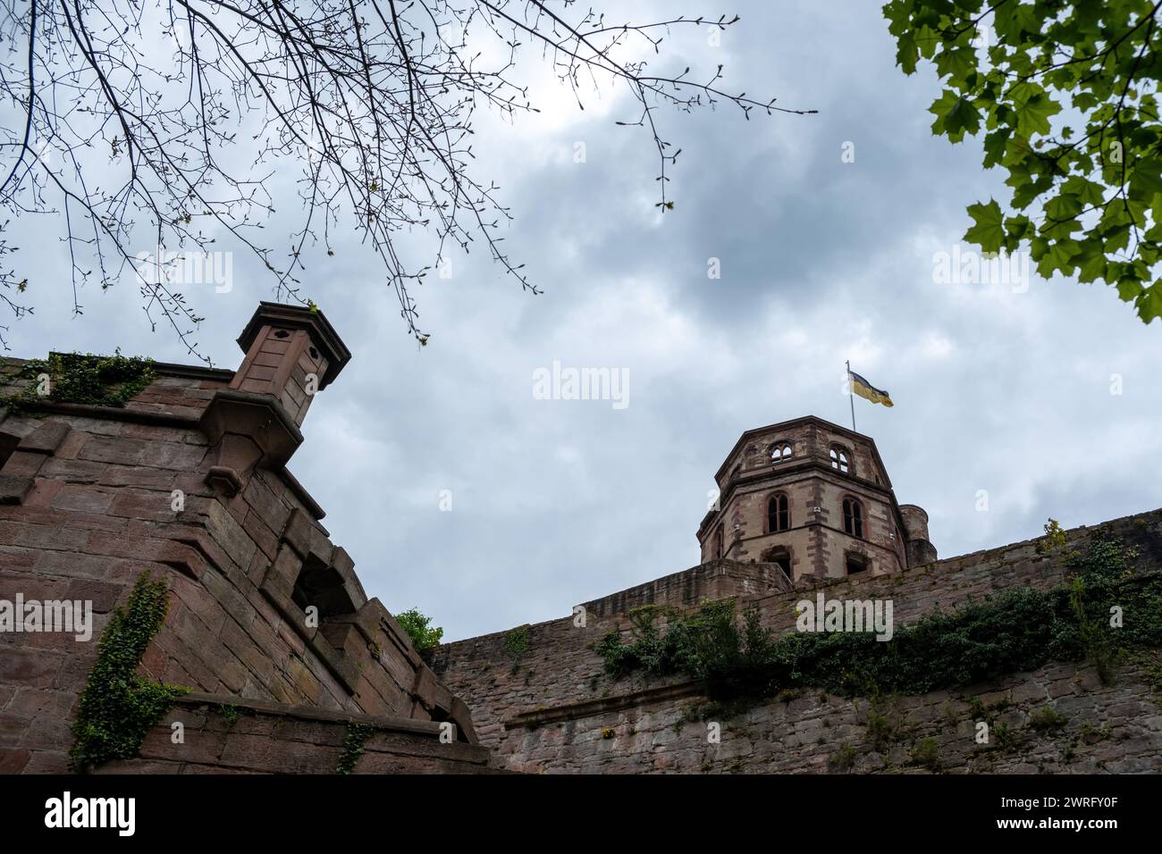 Heidelberg castle tower with flag, Germany sightseeing, palace in ...