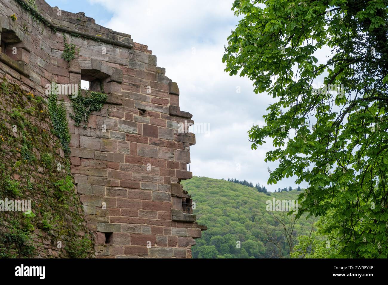 Germany, Heidelberg castle shield wall with opening for protection from ...