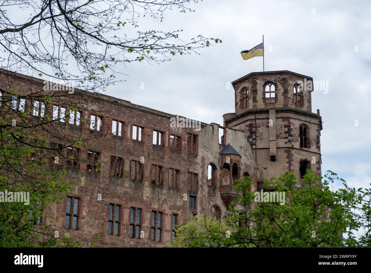 Germany, Schloss Heidelberg castle tower with flag, palace in nature ...