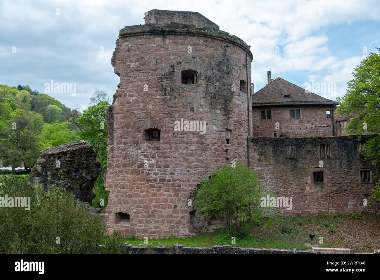 Heidelberg palace, castle in Germany nature. Heidelberg Schloss ancient ...