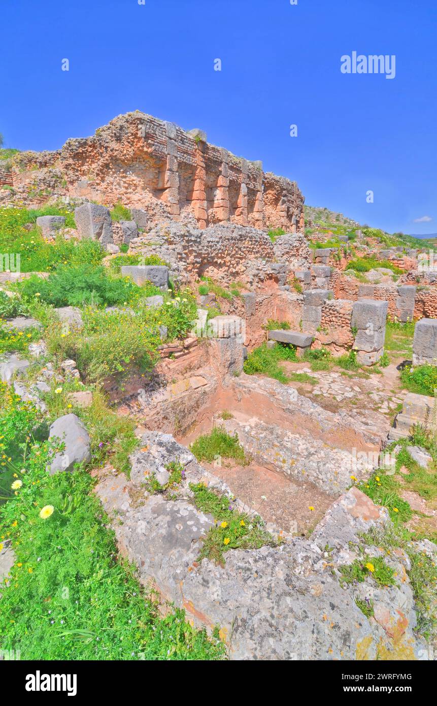 Tiddis algeria hi-res stock photography and images - Alamy