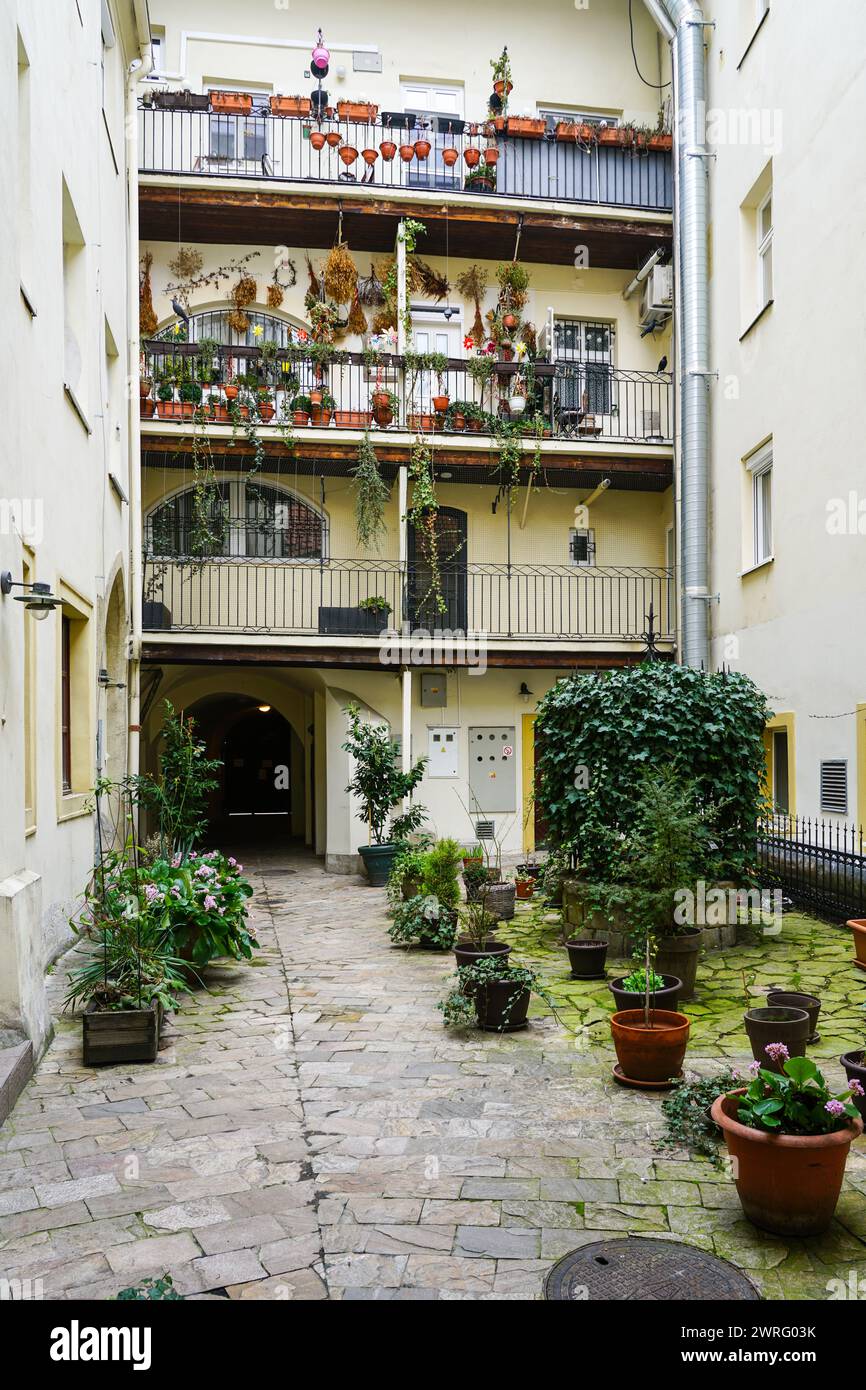 Cozy romantic courtyard with many decorative plants in flowerpots on ...