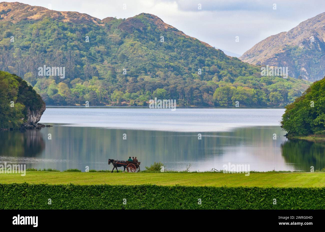 Ireland County Kerry Killarney National Park horse drawn Jaunting car ...