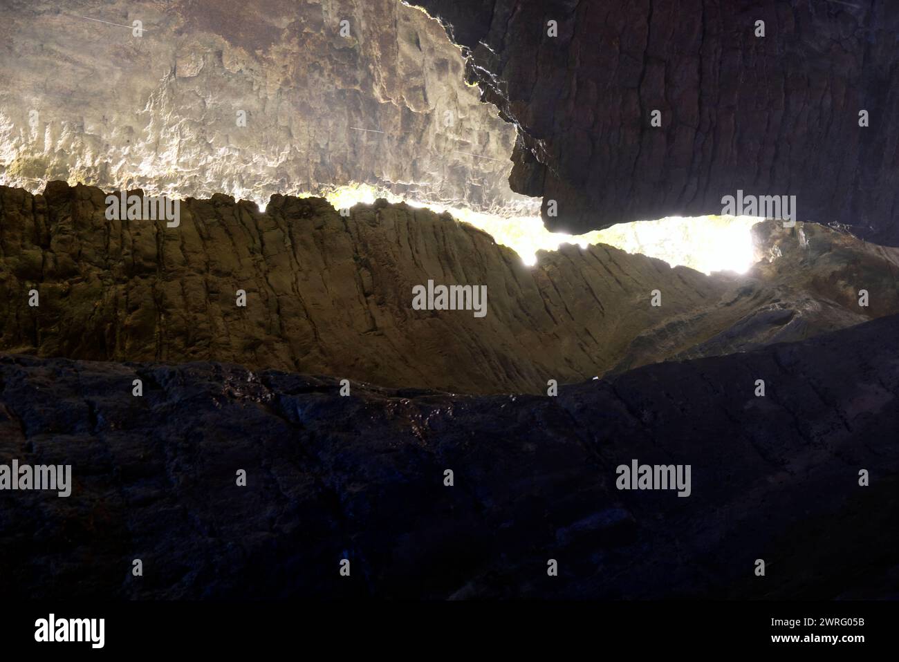 Top down view of shell-rock stone on the seacoast Stock Photo - Alamy