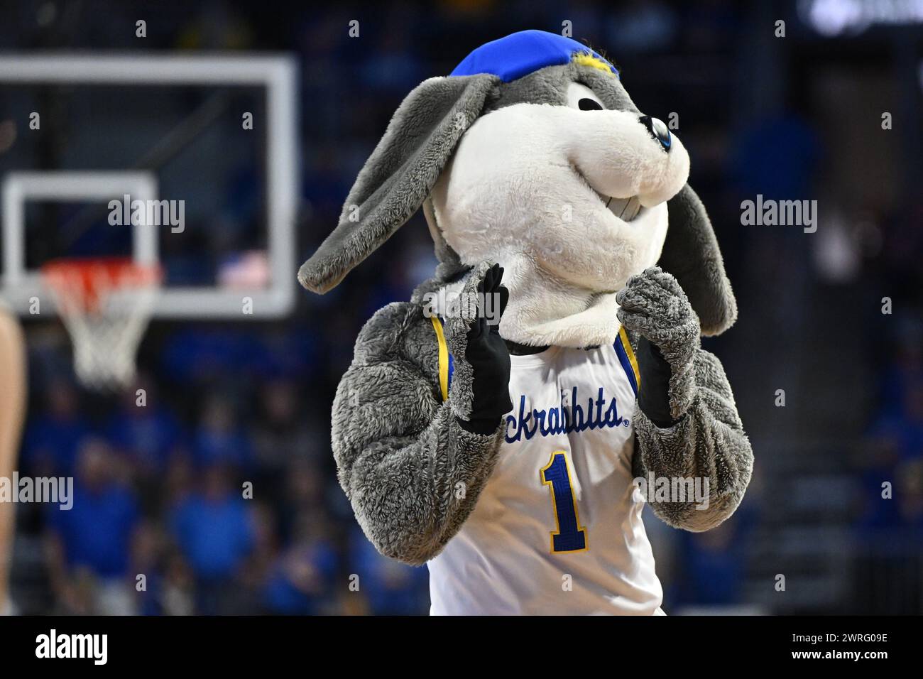 Dakota coyotes mascot hi-res stock photography and images - Alamy