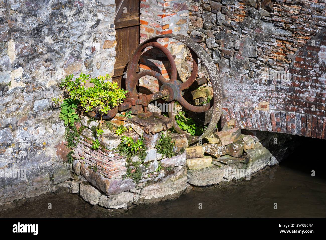 Old rusty wall plants hi-res stock photography and images - Alamy