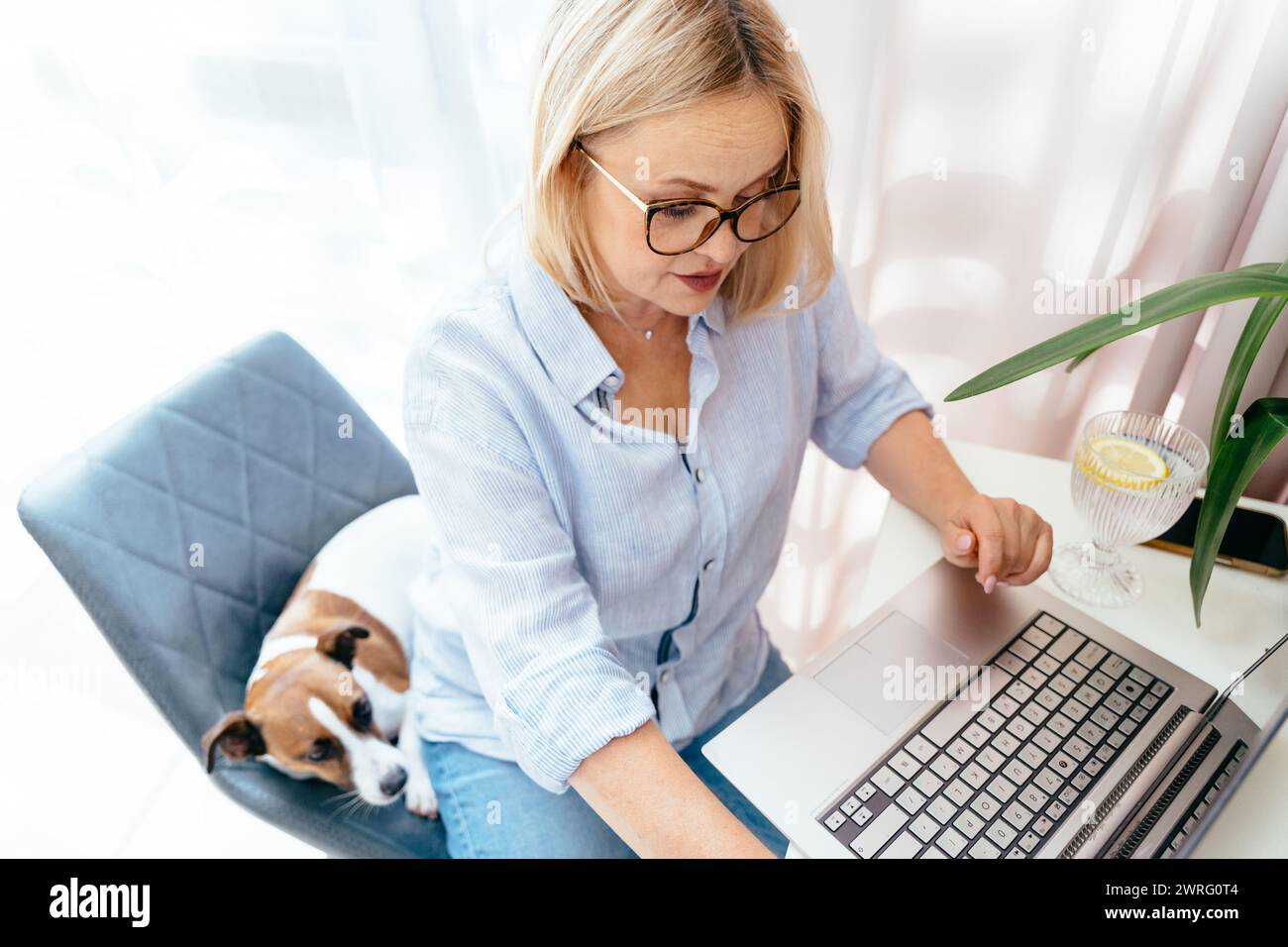 Creative professional woman working from home with her lovely pet dog ...