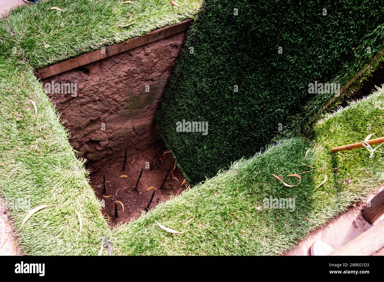 Jungle trap hi-res stock photography and images - Alamy