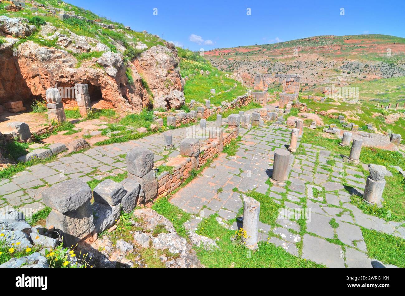 Tiddis algeria hi-res stock photography and images - Alamy