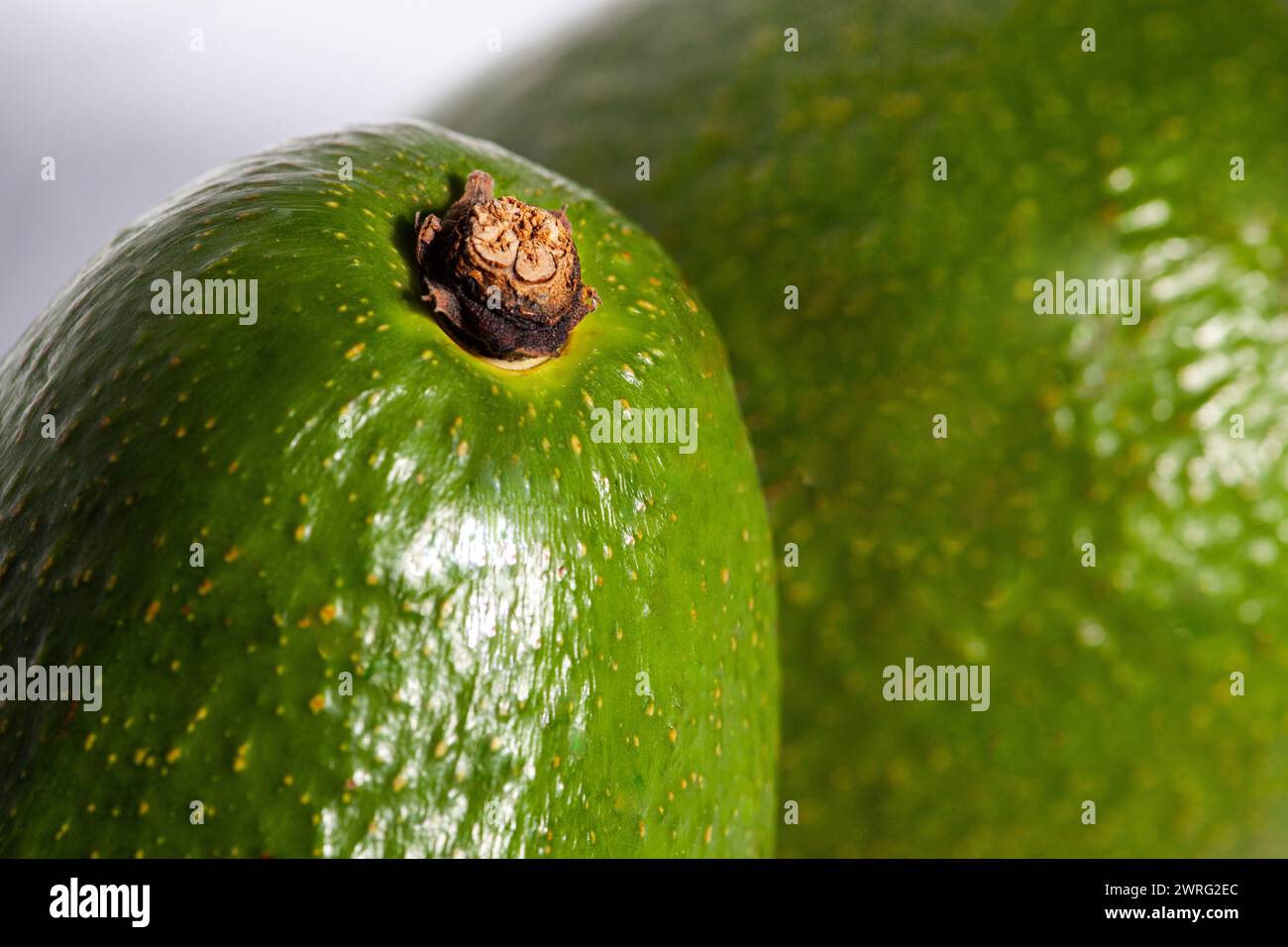 A very interesting and delicious green fruit pictured on a white ...