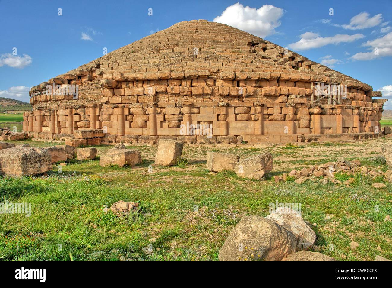 King of numidia hi-res stock photography and images - Alamy