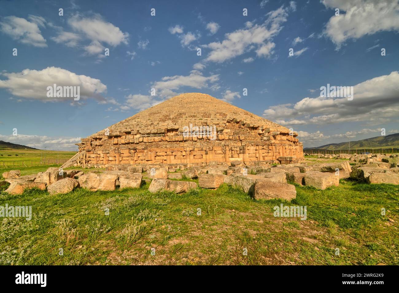 King of numidia hi-res stock photography and images - Alamy