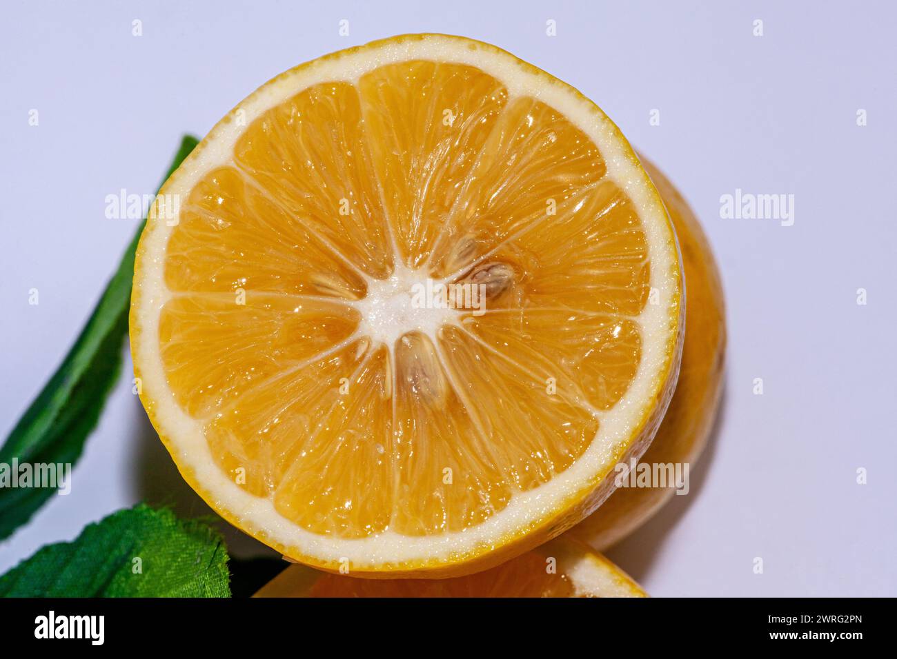 Orange fruits slice isolated on white background. Orange Clipping Path ...