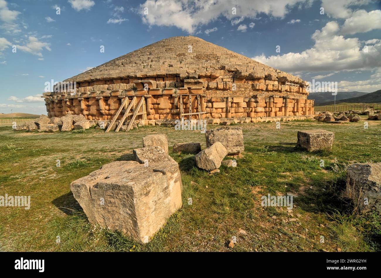 King of numidia hi-res stock photography and images - Alamy