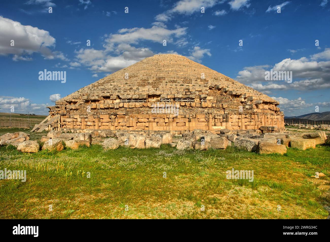 King of numidia hi-res stock photography and images - Alamy