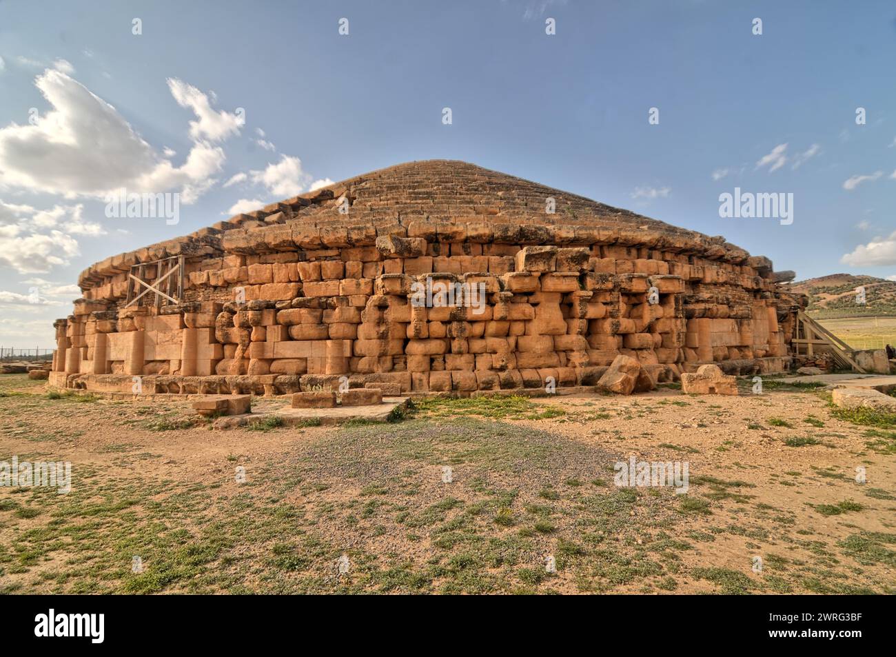 King of numidia hi-res stock photography and images - Alamy