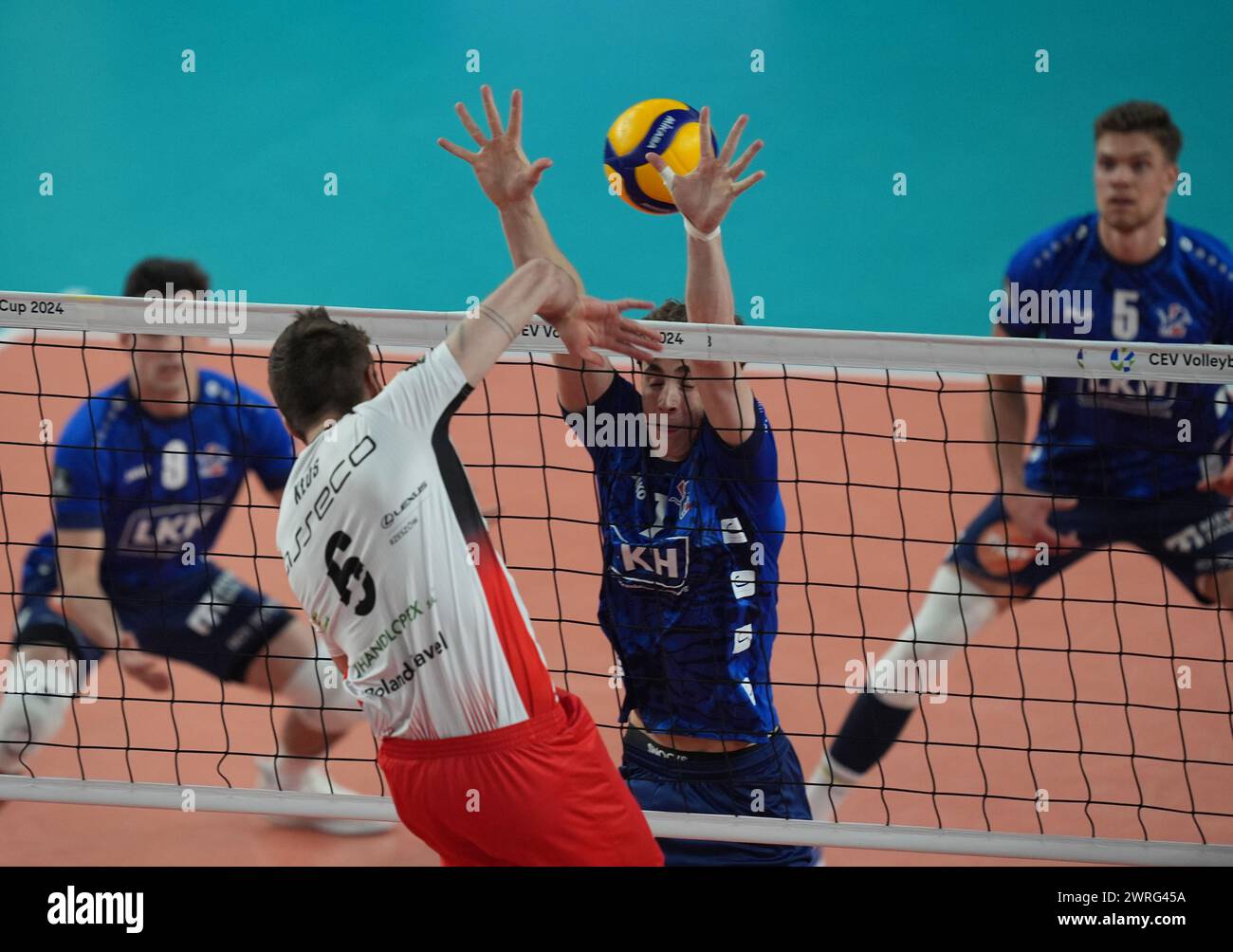 12 March 2024, Lower Saxony, Lüneburg: Volleyball, men: CEV Cup, SVG ...