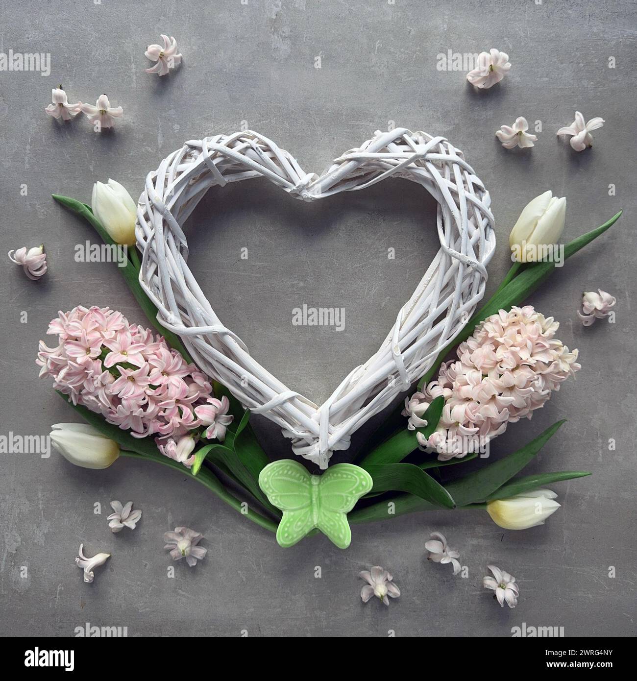 A heart-shaped wreath with spring flowers, tulips and hyacinth, with a ...