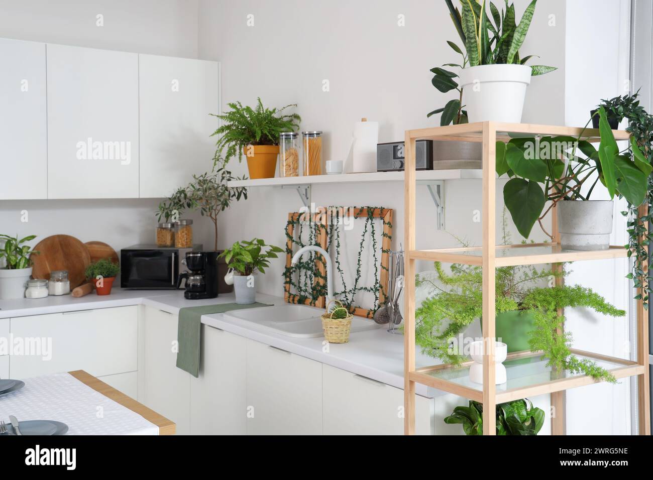 Interior of modern kitchen with green plants, shelf and counters Stock ...