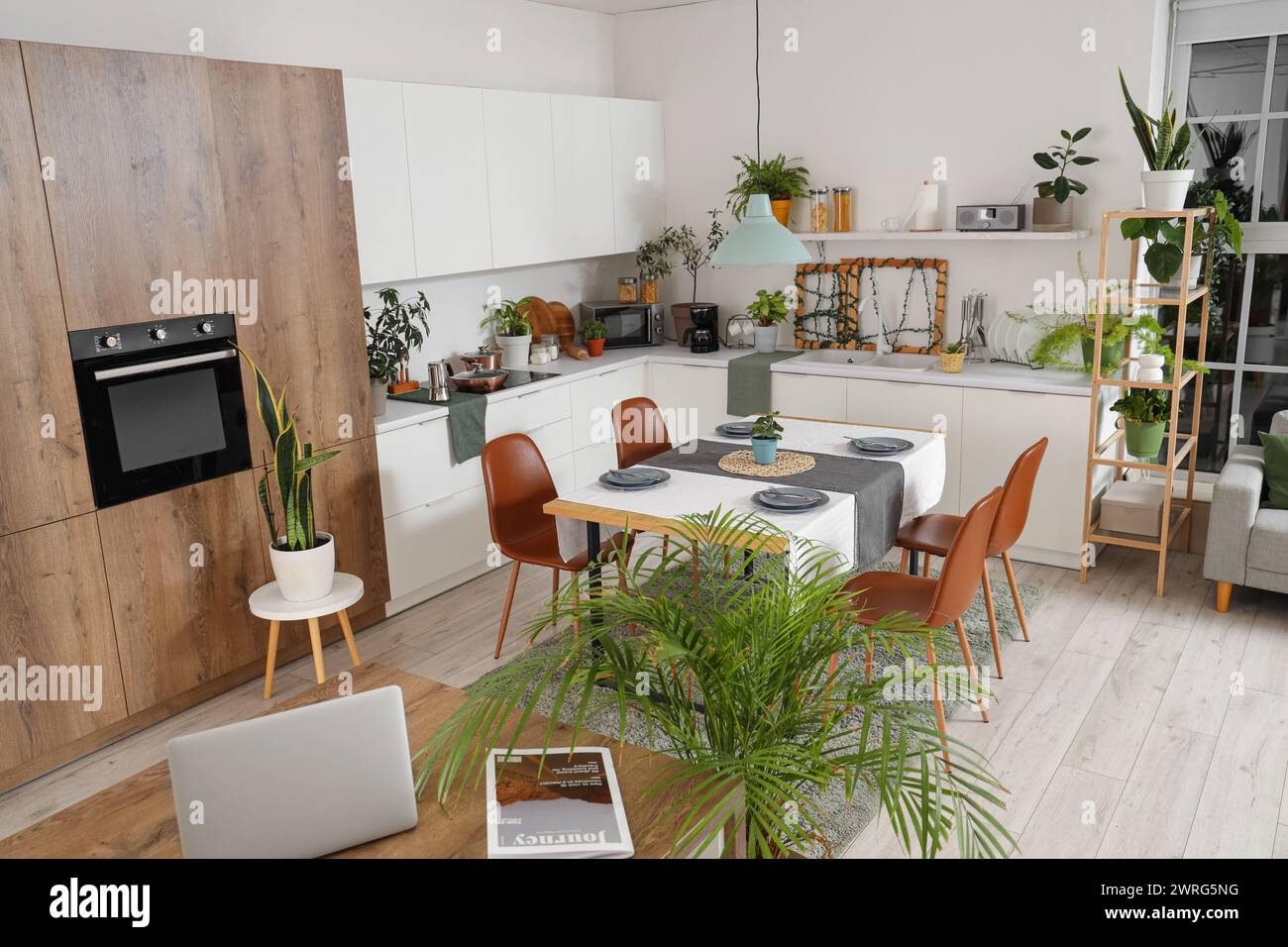 Interior of modern kitchen with green plants, dining table and counters ...