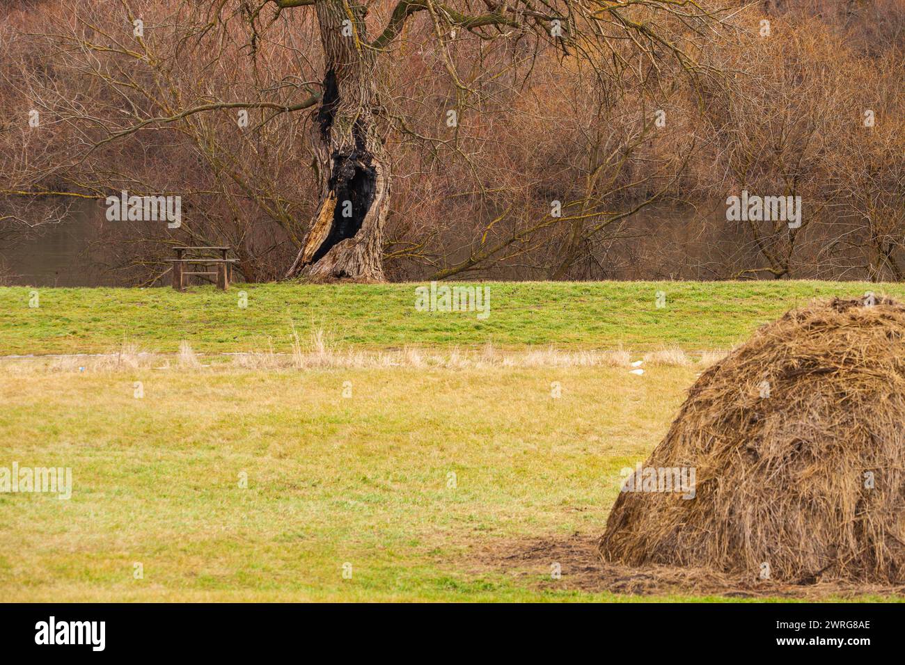 A stack of hay rests on a grassy meadow surrounded by a natural ...