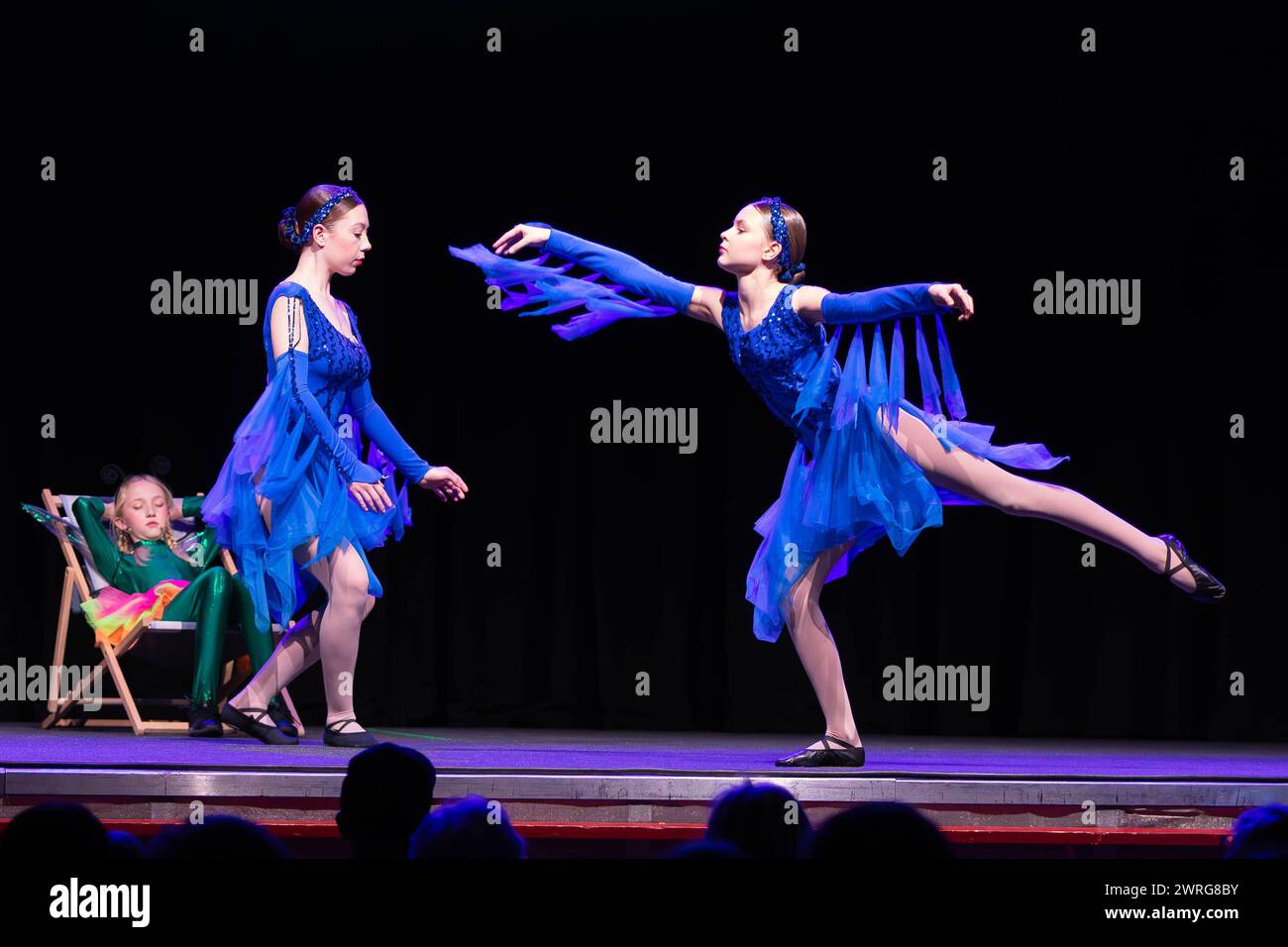 Die kleine Hummel Bommel - Kinderrevue nach der Kinderbuchreihe von ...