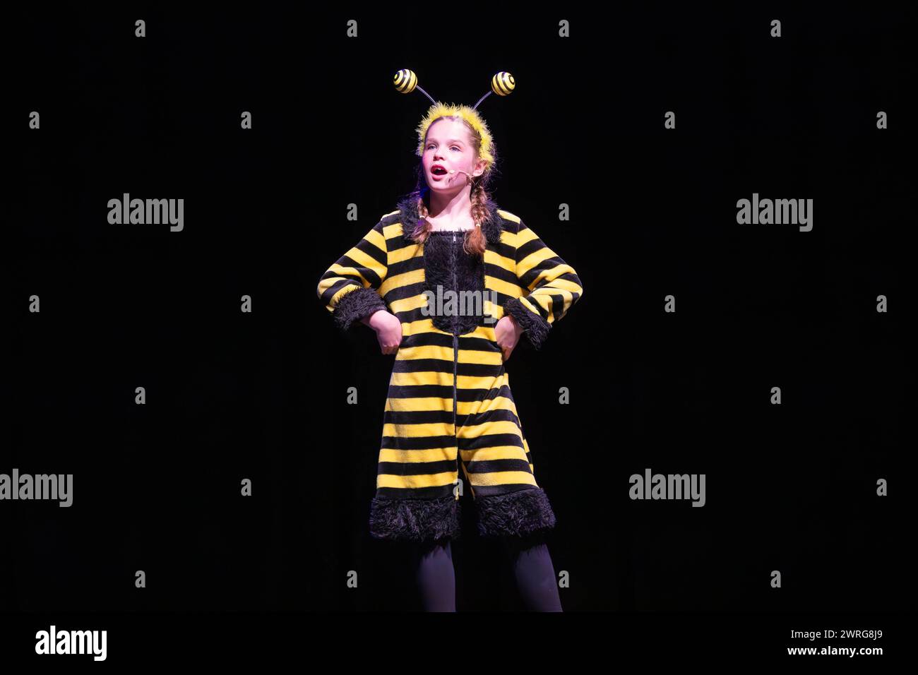 Die kleine Hummel Bommel - Kinderrevue nach der Kinderbuchreihe von ...