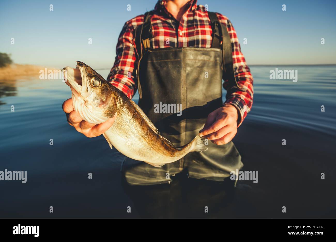 Person holding fish on boat hi-res stock photography and images - Alamy