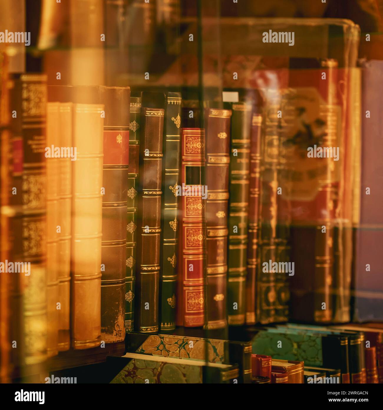 Abstract Blurred background of bookshelf in bookstore with books and ...
