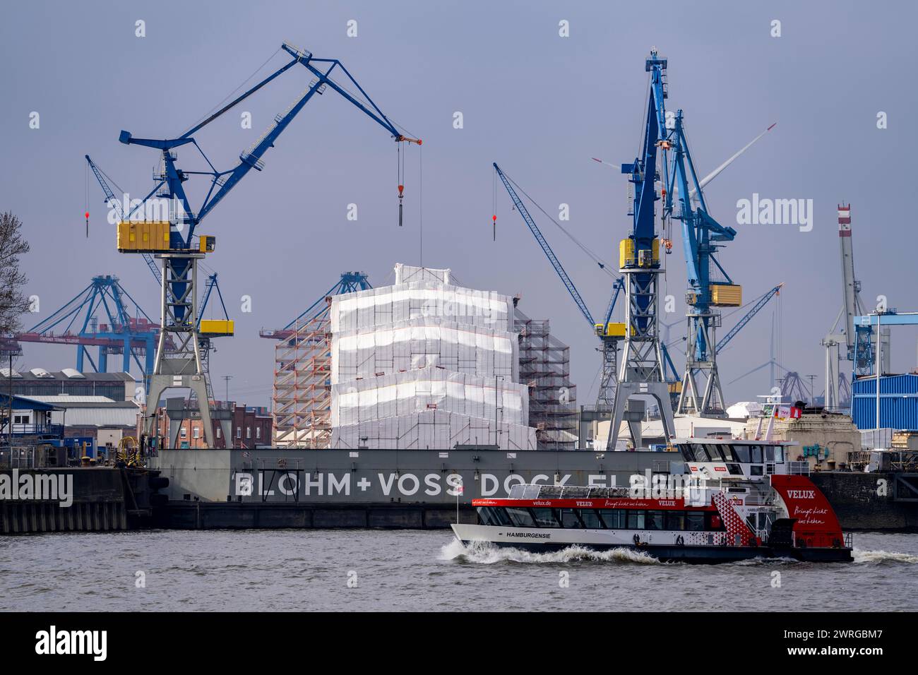Port of Hamburg, Blohm + Voss shipyard, Dock Elbe 17, scaffolded ship ...
