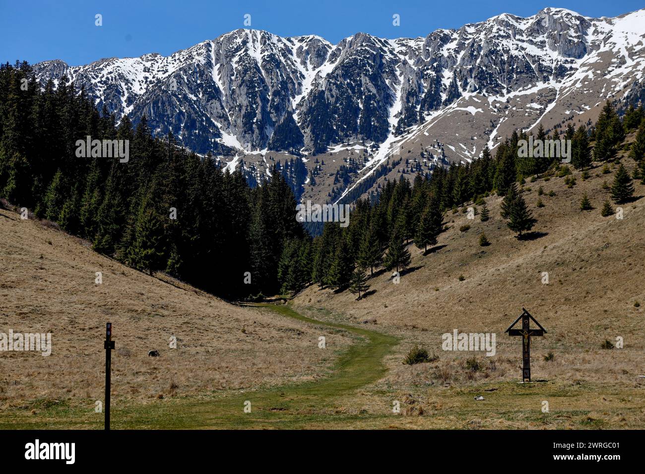 Rural view in romania hi-res stock photography and images - Alamy