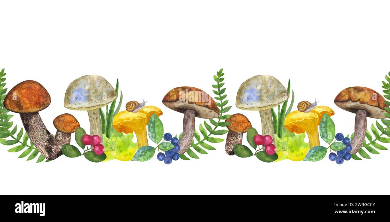 Seamless botanical border: edible mushrooms, leaves and berries, fern ...