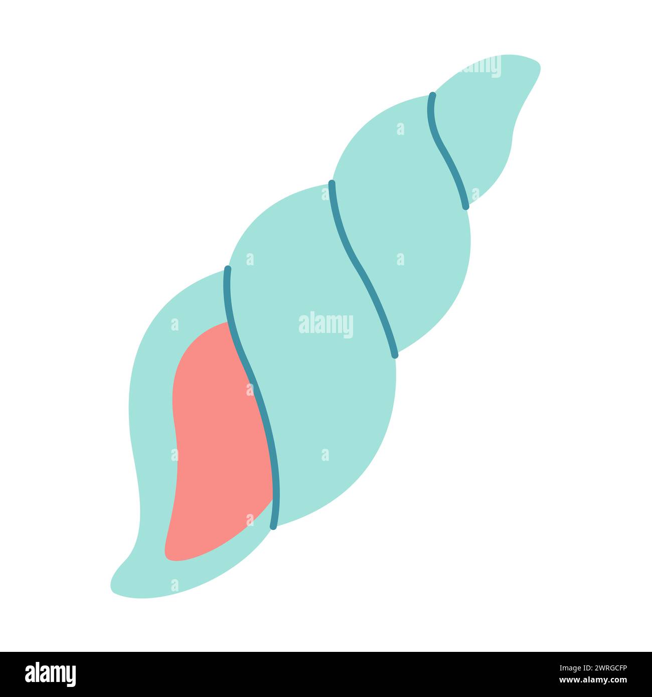 Hand drawn Seashell. Cartoon style flat illustration seashell isolated ...