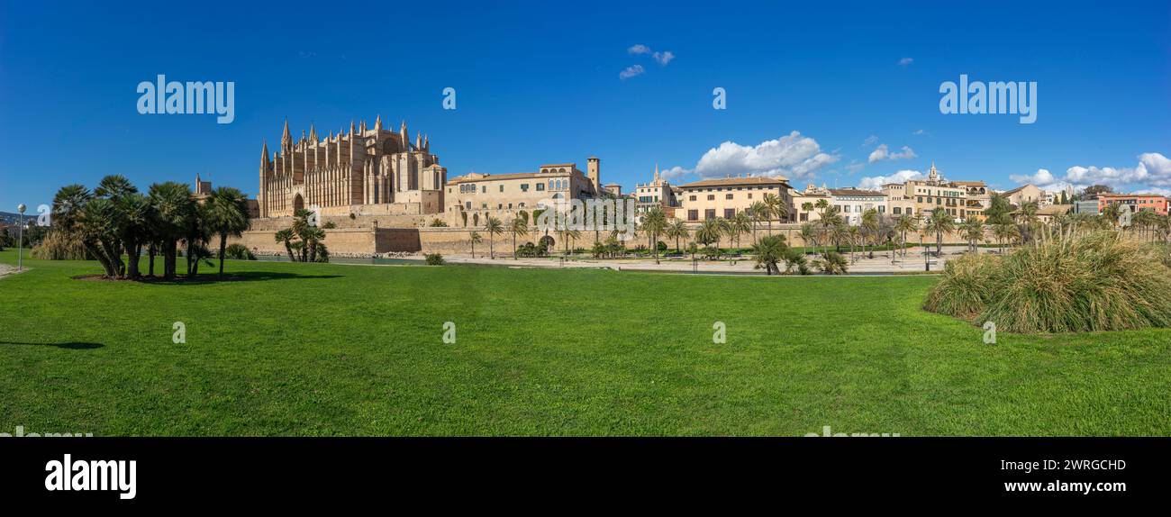 Panoramic View of Palma de Mallorca Cathedral and Lush Green Lawn Stock ...