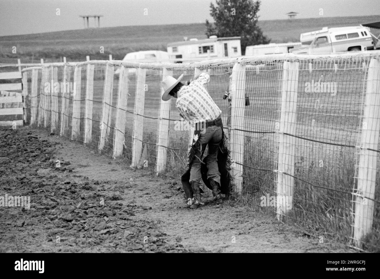 Rodeo cowboy injured at the Drumheller Rodeo, Alberta Canada Circa 1982 ...